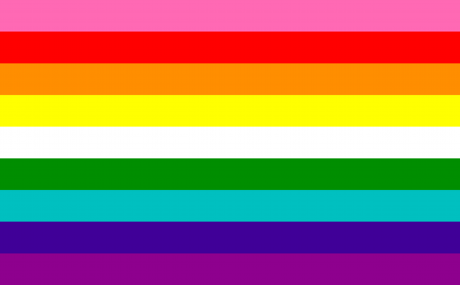 Pride Flag 101 - A Quick Guide with Bags of Love