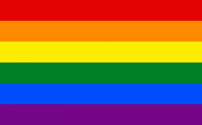 Pride Flag 101 - A Quick Guide with Bags of Love