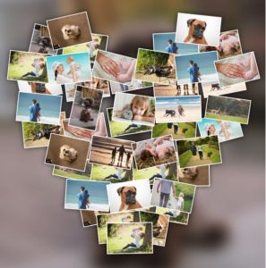 How to Make a Photo Montage Easily and In No Time