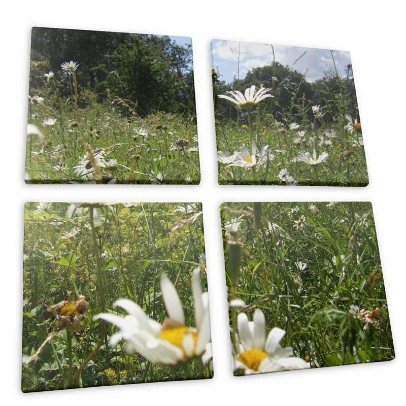 Multi Panel Canvas Prints. Canvas Splits By Bags Of Love Multi Panel Canvas Prints. Canvas Splits By Bags Of Love